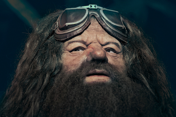 Universal Orlando revela realista figura animada de Hagrid - Travels ...